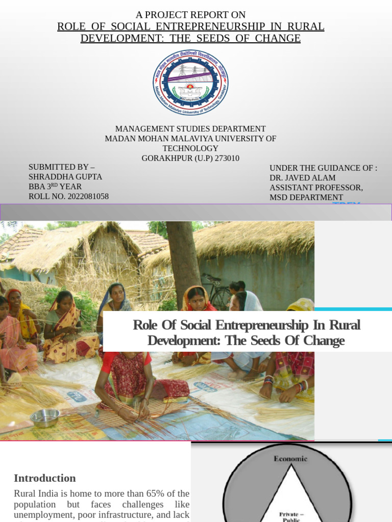 The Role of Social Entrepreneurship in Rural Development | PDF | Social ...
