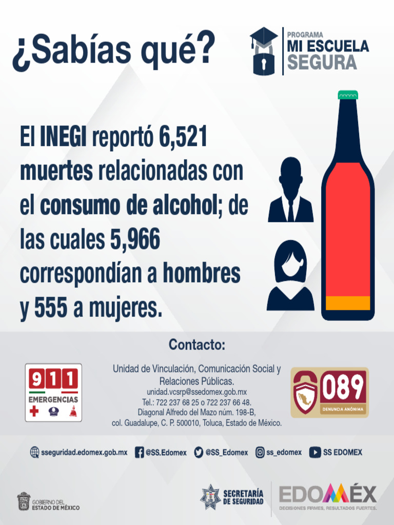 Infografia Sabias Que - INEGI | PDF