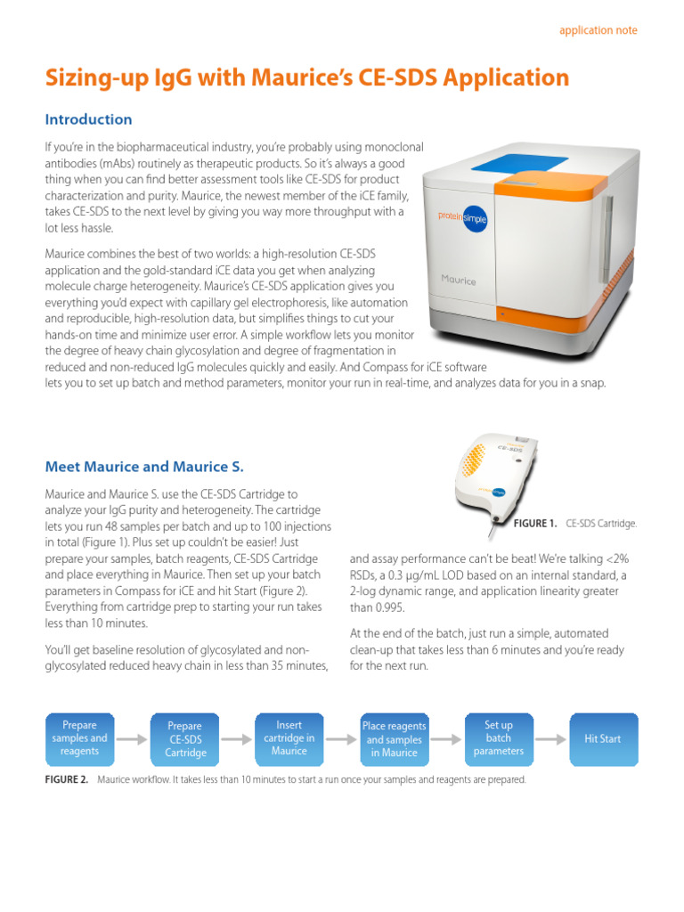 App Note Maurice CE-SDS IgG | PDF | Monoclonal Antibody | Biology