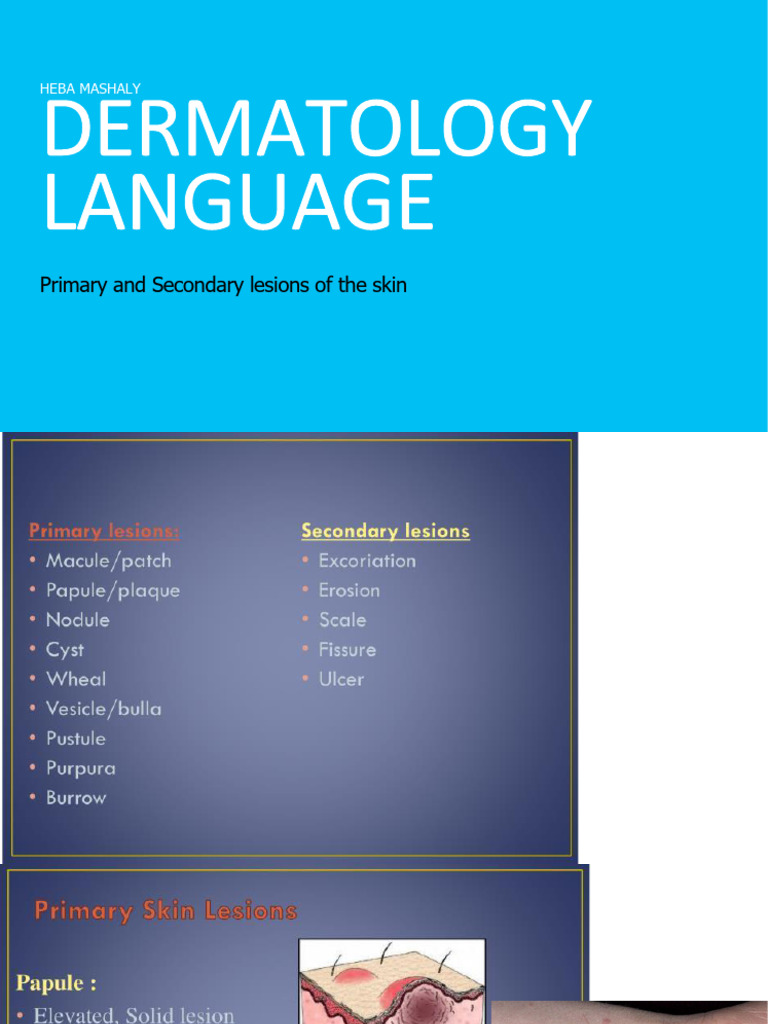1-Dermatology Language | PDF