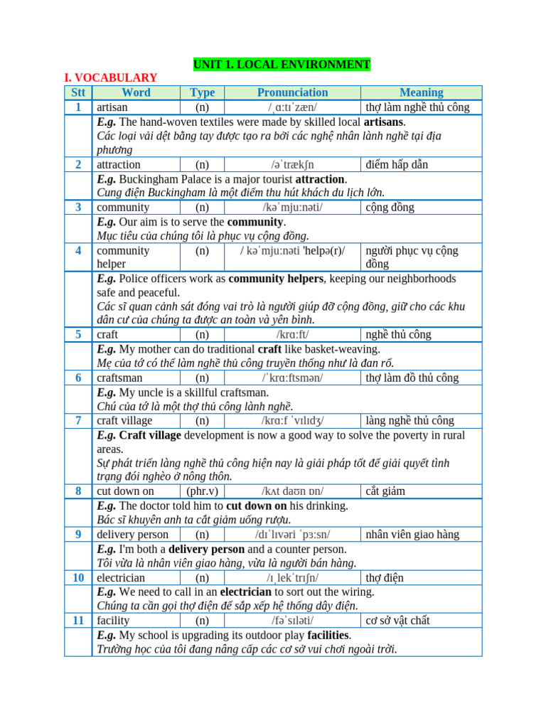 STT Word Type Pronunciation Meaning 1: I. Vocabulary | PDF