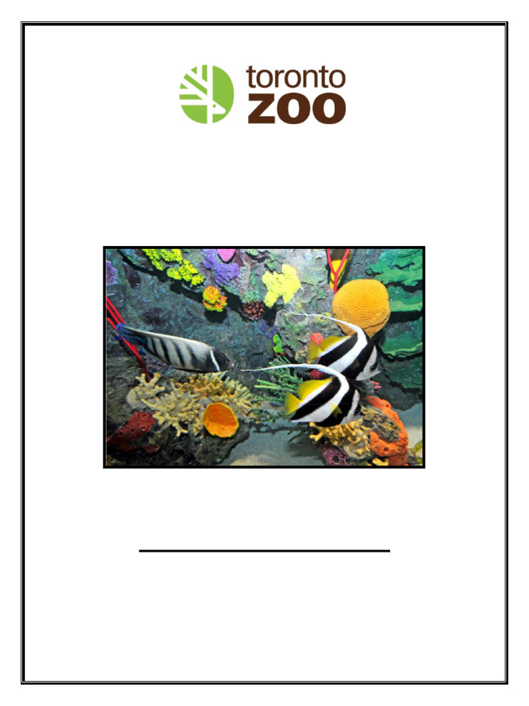 Grade 4 - Habitats & Communities | PDF | Eye | Predation