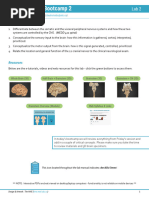 CVS-Q Definitivo English | PDF | Visual Perception | Nervous System