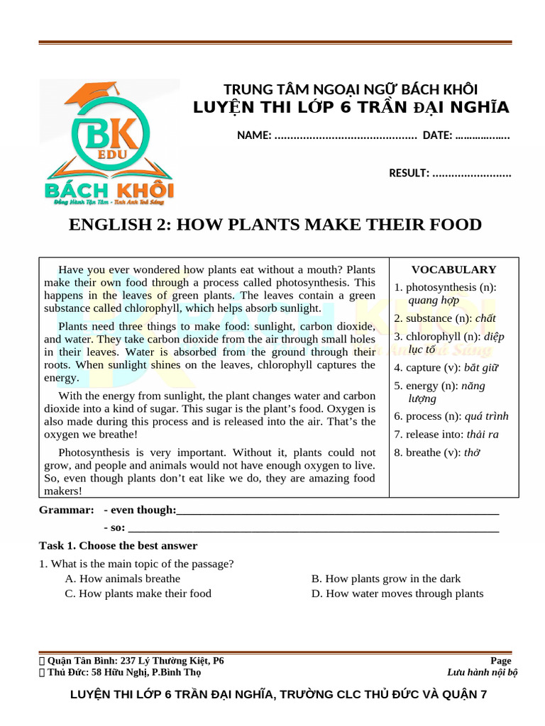 English 2 How Plants Make Their Food | PDF | Plants | Photosynthesis
