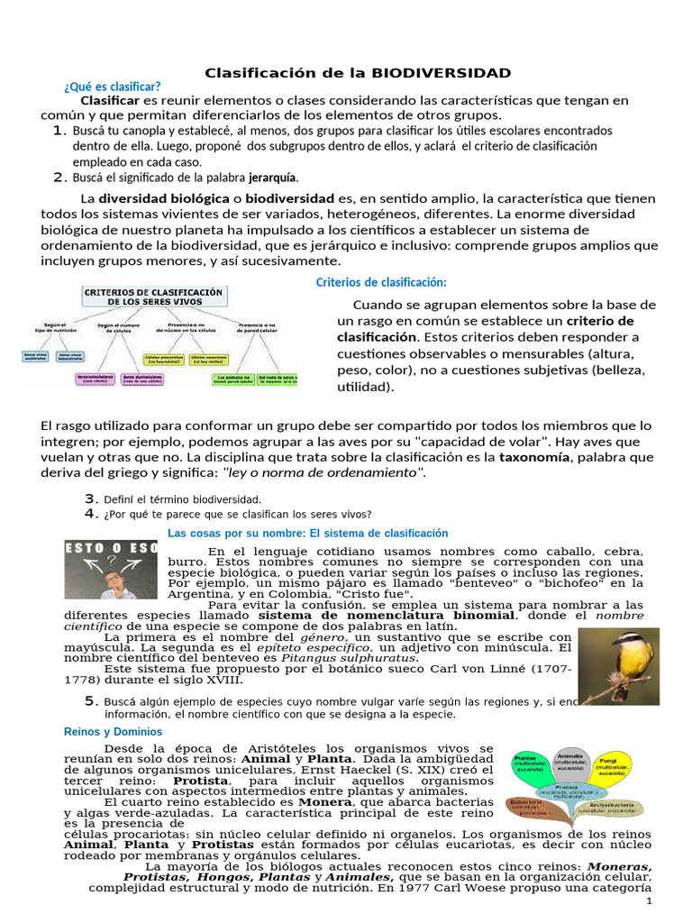 Bio Divers I Dad | PDF | Plantas | Biología Celular)