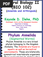 Chaetae and Chaetogenesis in Polychaetes (Annelida) : Harald Hausen ...