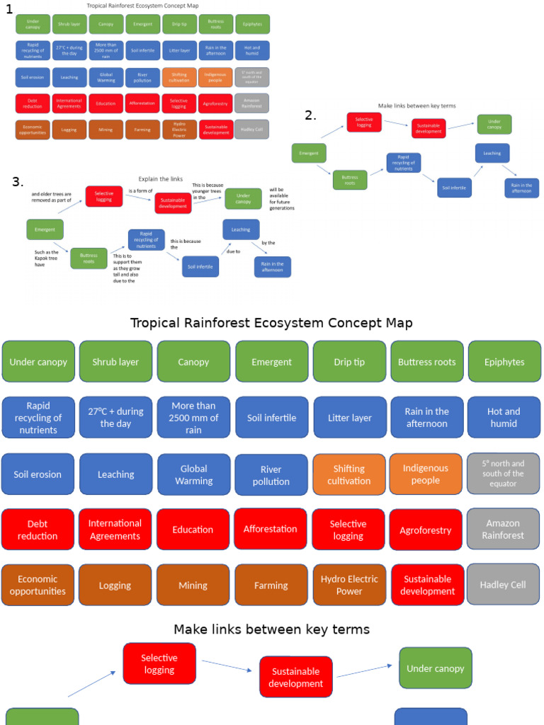 Tropical Rainforest Ecosystem Overview | PDF | Rainforest | Natural ...