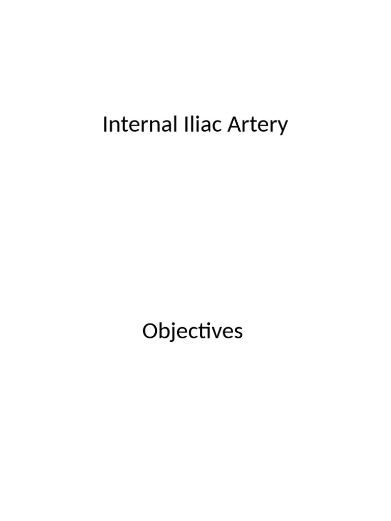 Internal Iliac Artery Overview and Functions | PDF