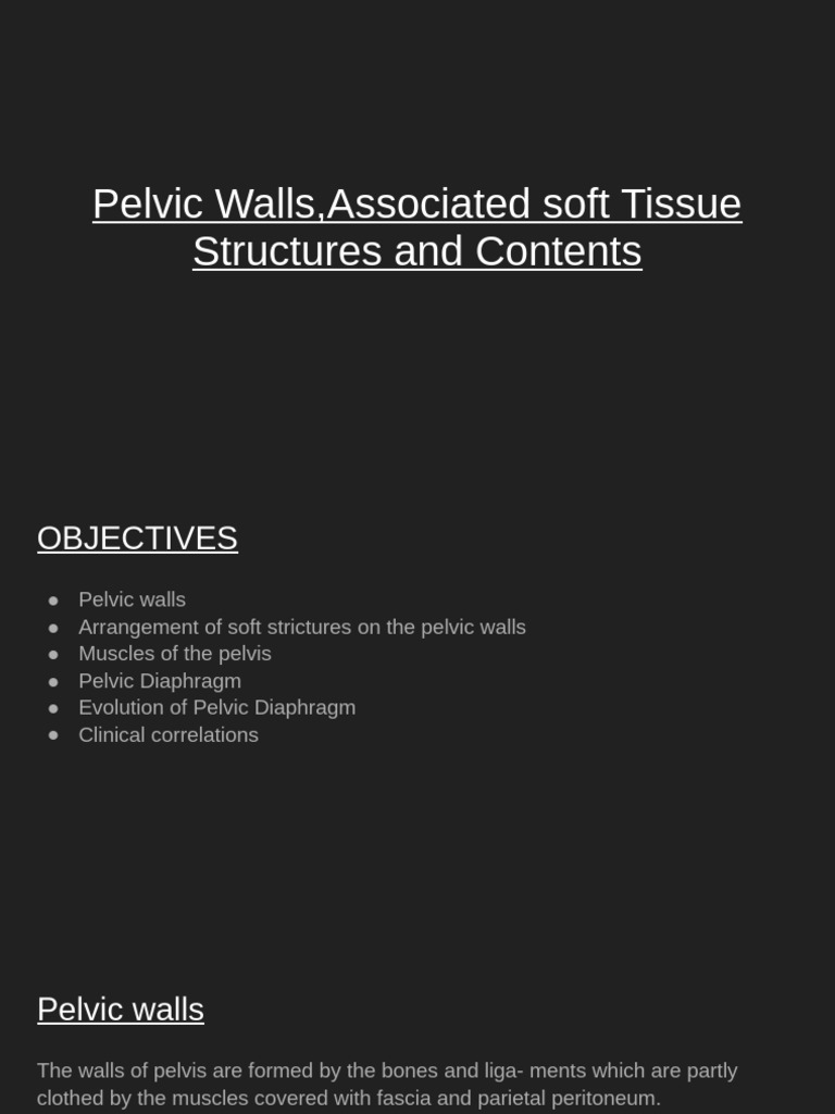 Pelvic Walls, Associated Soft Tissue Structures and Contents 2 | PDF ...