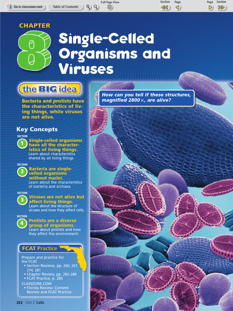 Single Celled Organisms and Viruses | PDF | Bacteria | Cell (Biology)