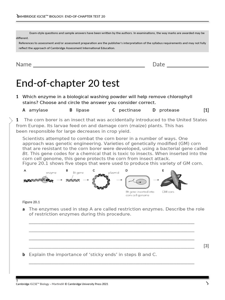 Igcse Biology 4ed TR Eoc Test 20 | PDF | Plasmid | Genetic Engineering