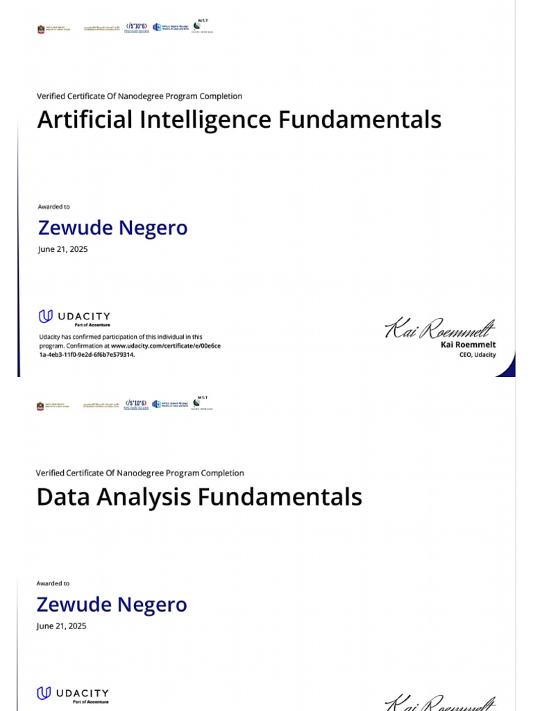 Zawude Ethiocooders Document | PDF