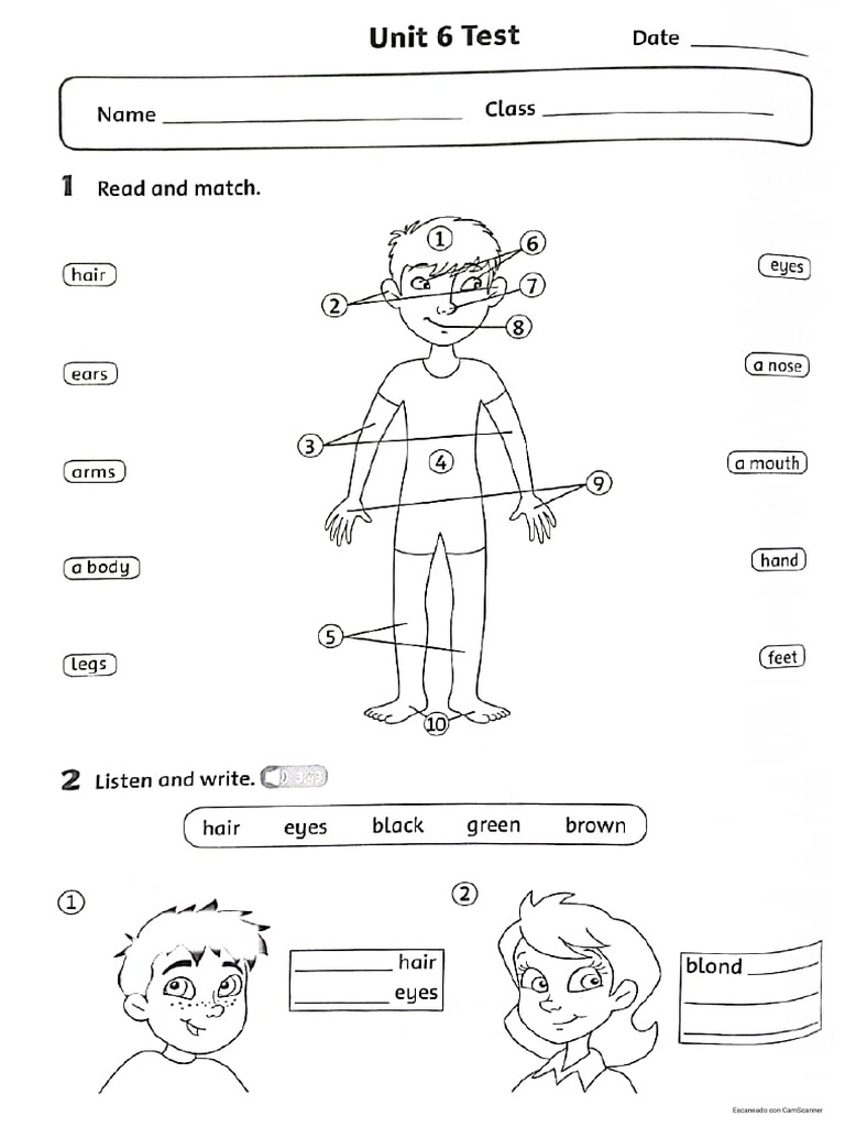 Tests 2nd Grade | PDF