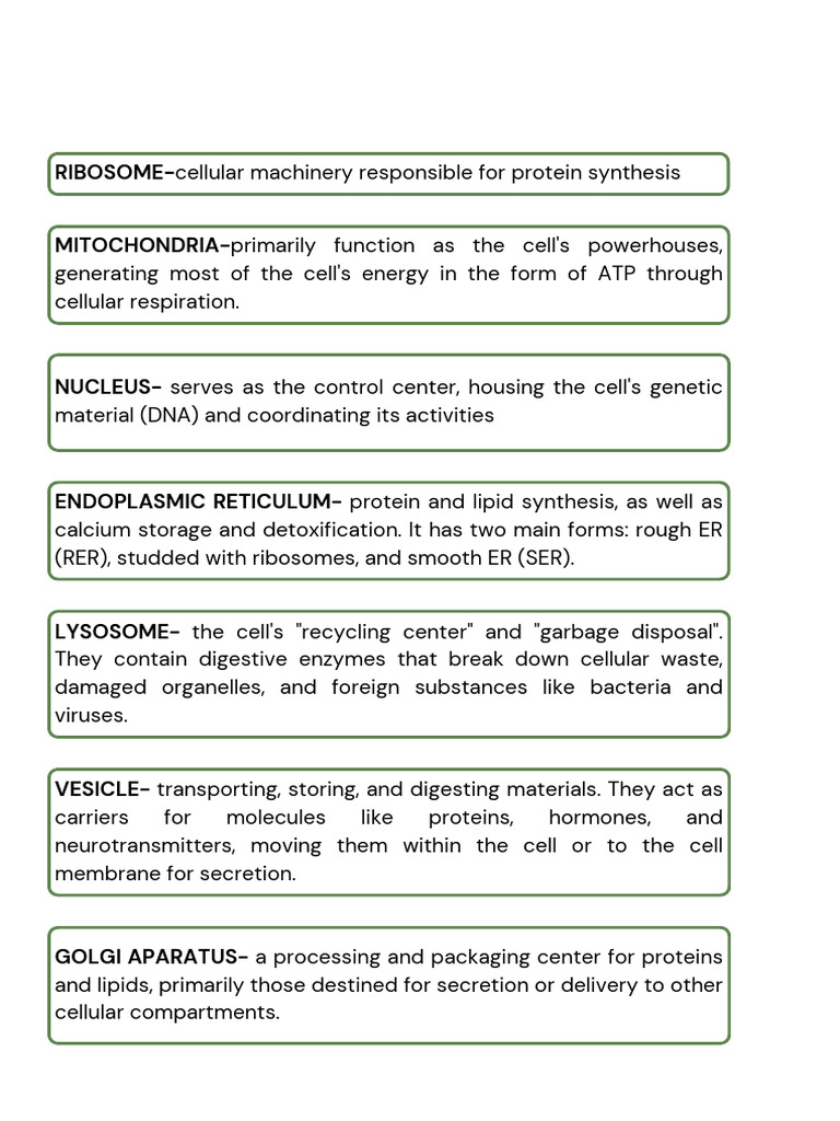 Cell Organelle Matching Science Activity Digital Worksheet in Green ...
