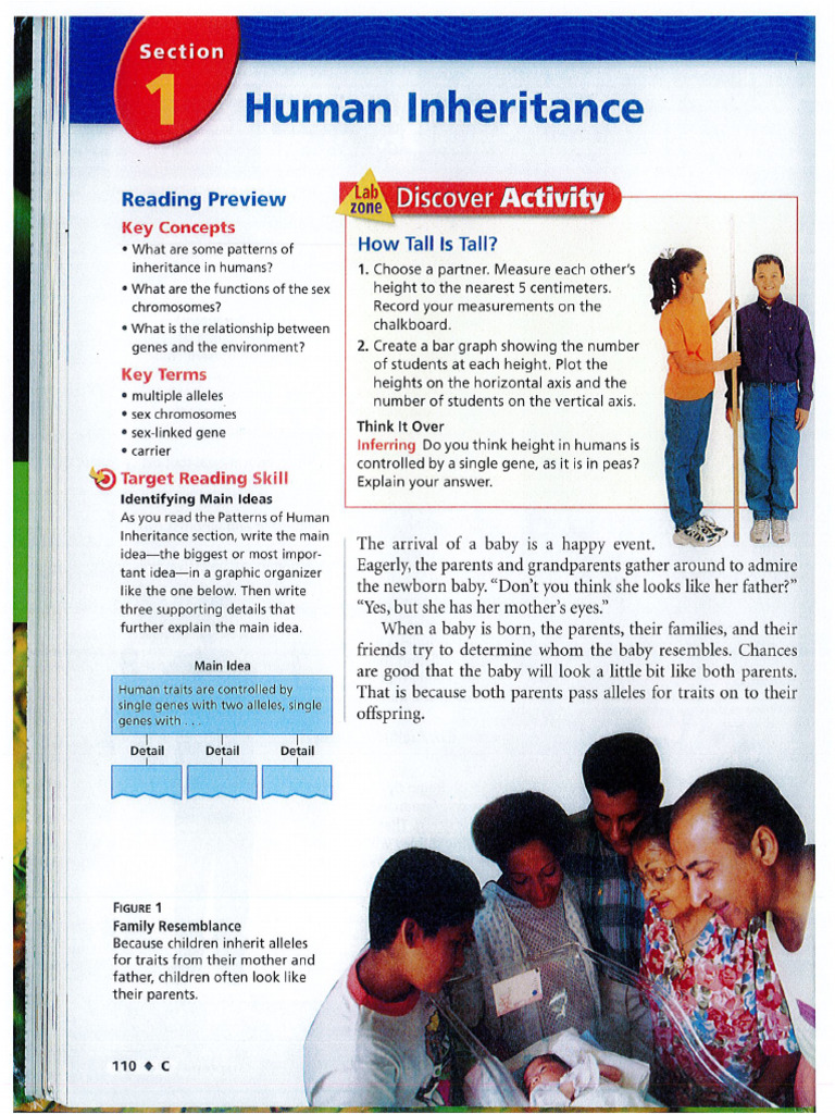 Human Inheritance Reading | PDF
