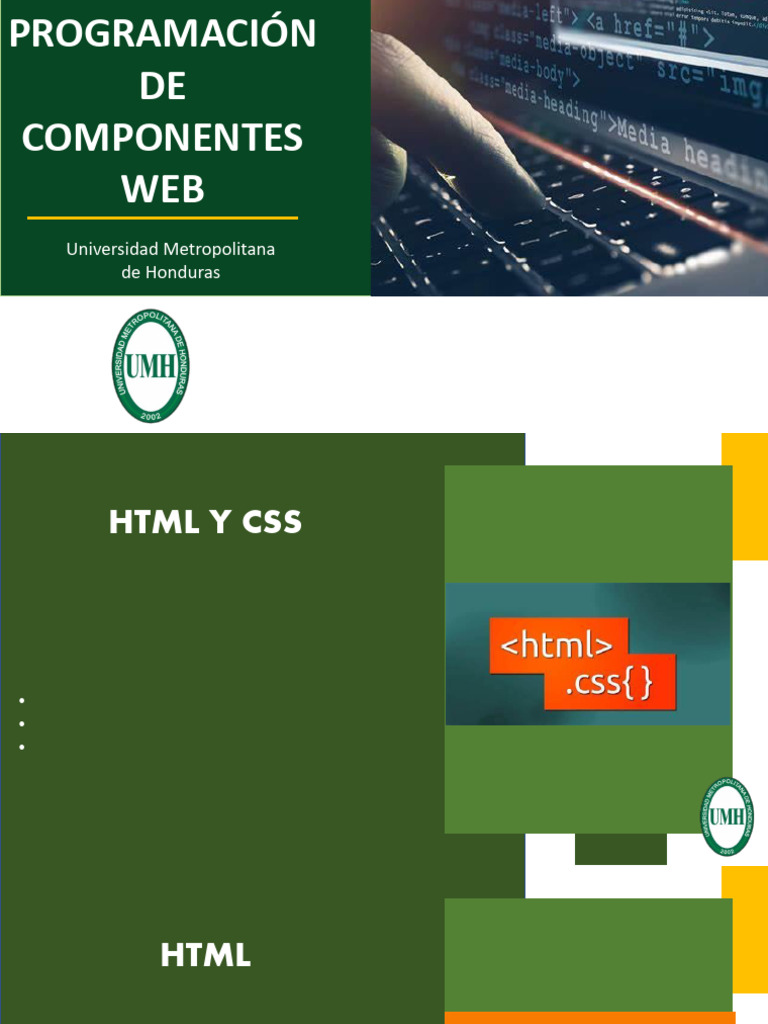 Presentación I | PDF | HTML | Script Java