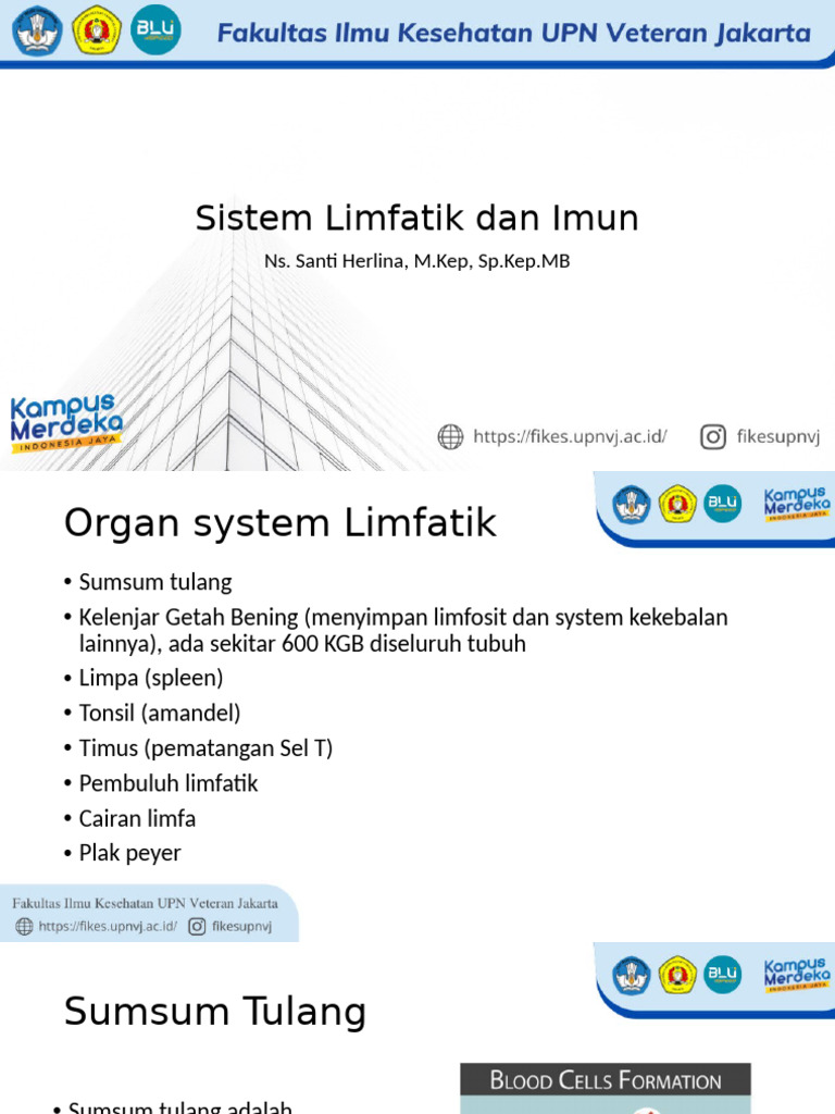 Sistem Limfatik Dan Imun | PDF