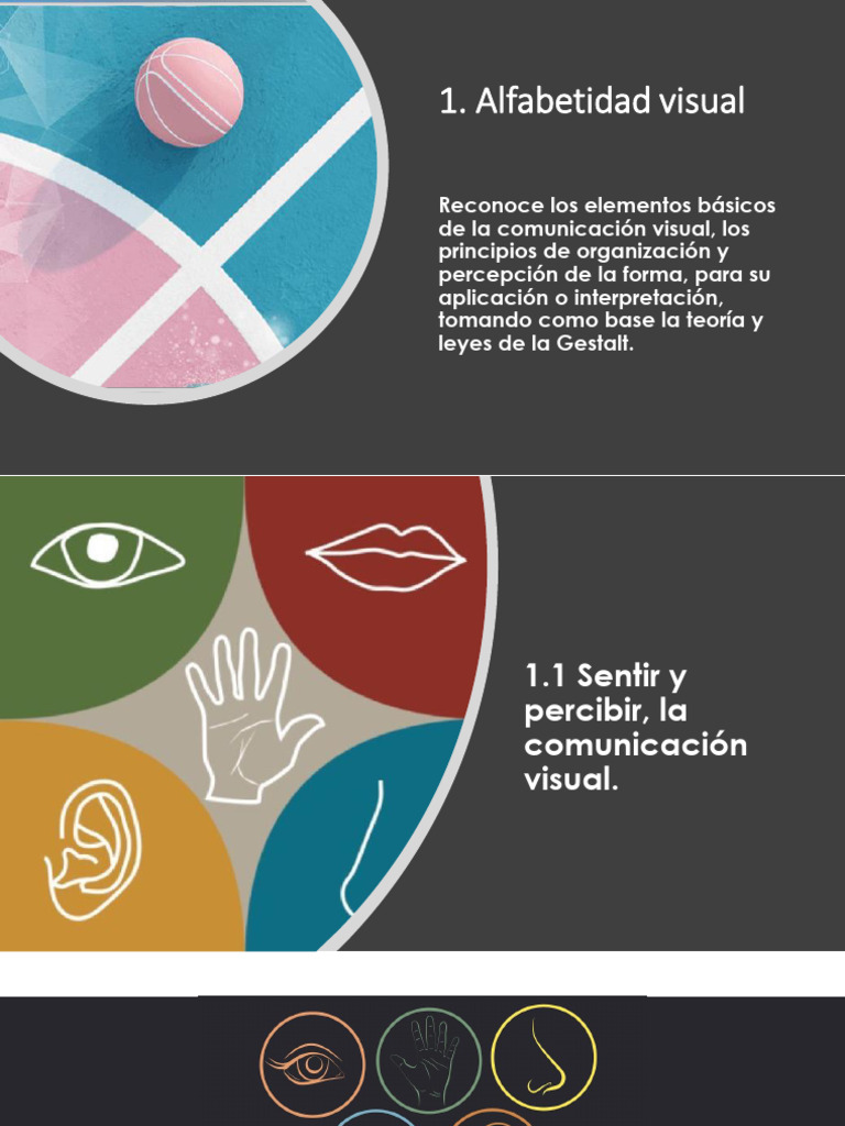 Tema 1. - Alfabetividad Visual | PDF | Comunicación | Percepción