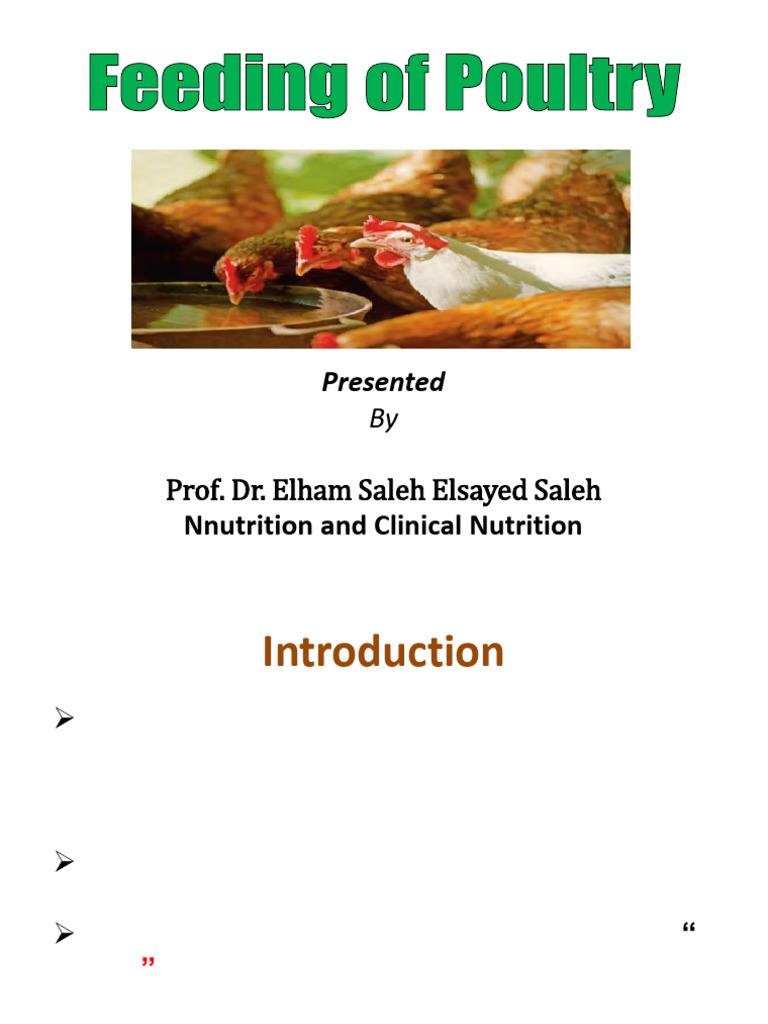 Poultry Nutrition and Feeding by Prof. Dr. Elham Saleh | PDF ...