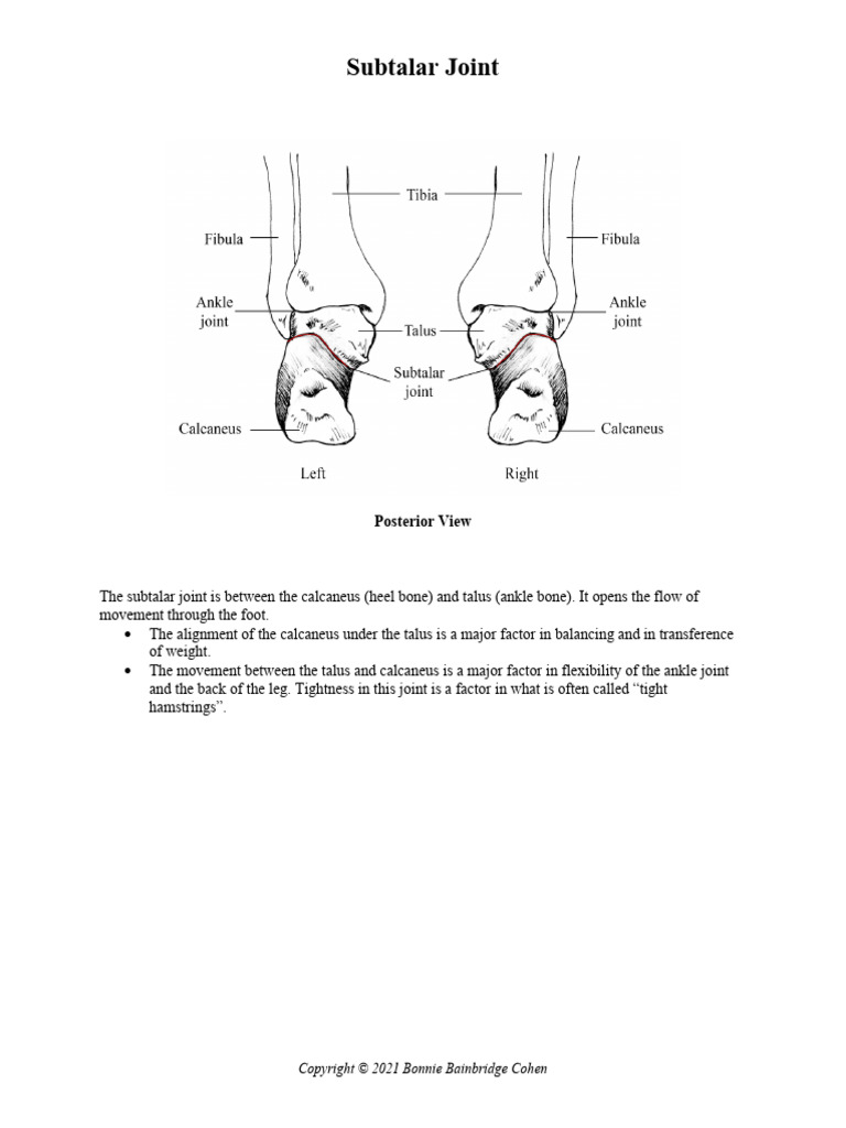 Subtalar Joint | PDF