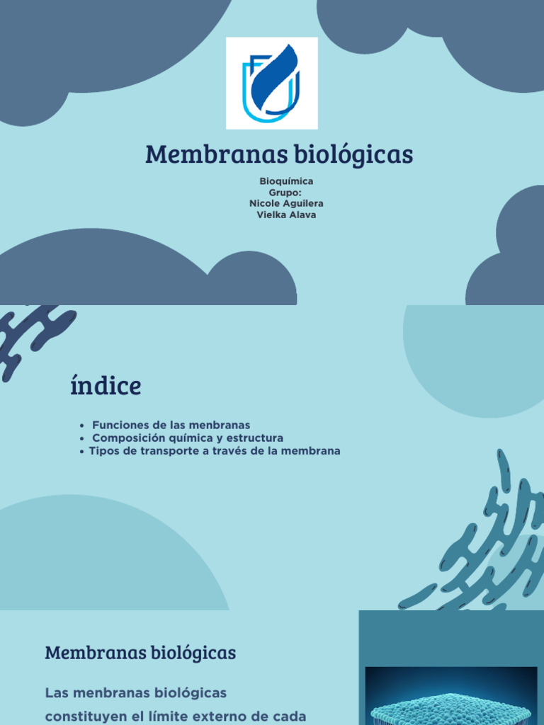 Membranas Biológicas Bioquimica 20241014 120151 0000 | PDF | Membrana celular | Membrana biológica
