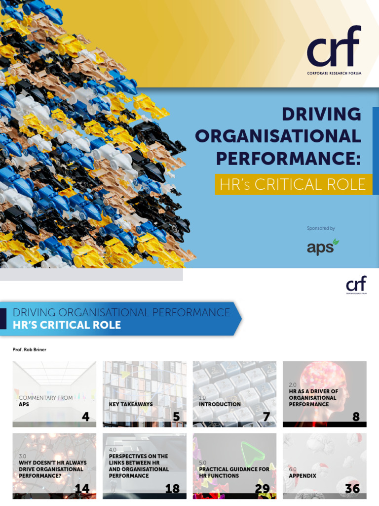 Driving Organisational Performance Report | PDF | Goal | Compensation ...