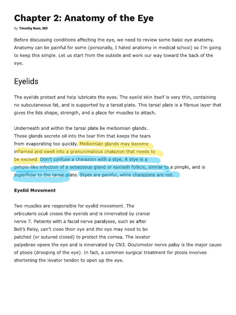 Tim Root CH 2 Anatomy | PDF