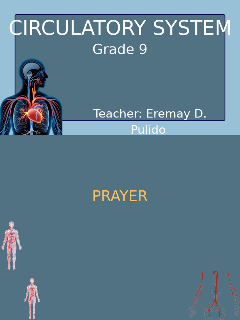 Grade 9 - Circulatory System | PDF | Circulatory System | Heart