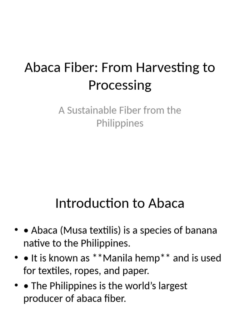 Abaca Fiber Processing | PDF