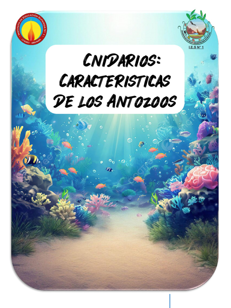 Estructura y características de los antozoos | PDF | Coral | Arrecife ...