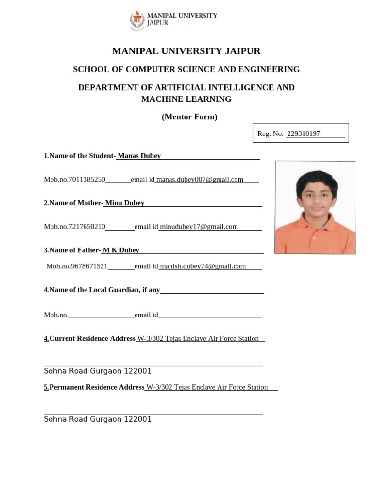 Mentor Form Final | PDF