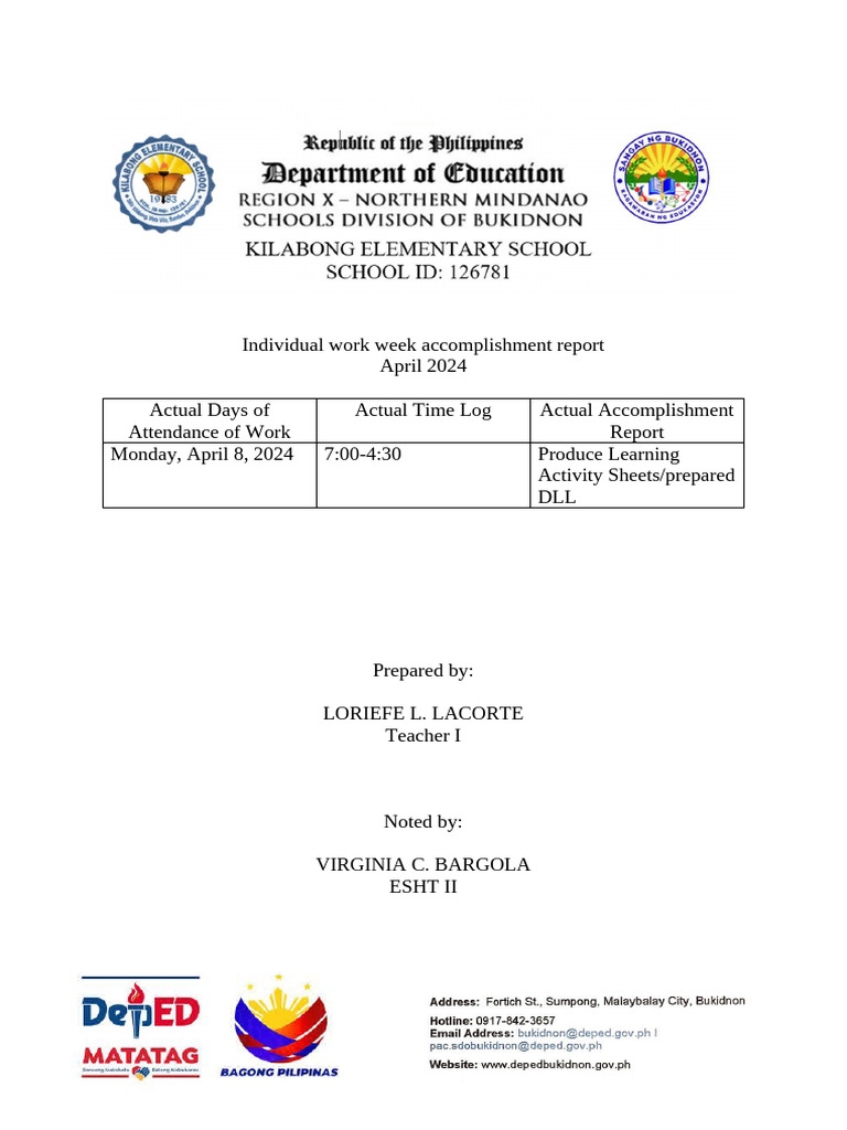 Individual Work Week Accomplishment Report | PDF