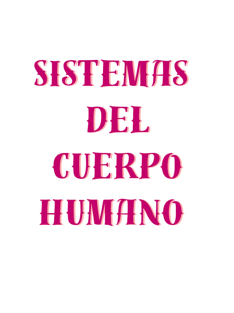 Sistemas Del Cuerpo Humano | PDF