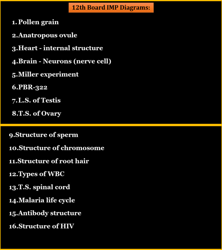 12th Board IMP Diagrams - Bf8f2a89 C3a9 4013 9d30 F2ac28f6a1c7 | PDF