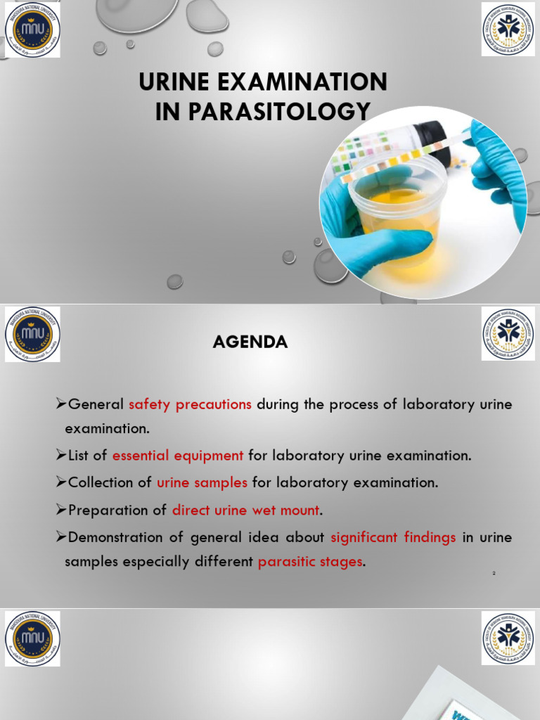 Urine Examination in Parasitology Guide | PDF | Medical Specialties