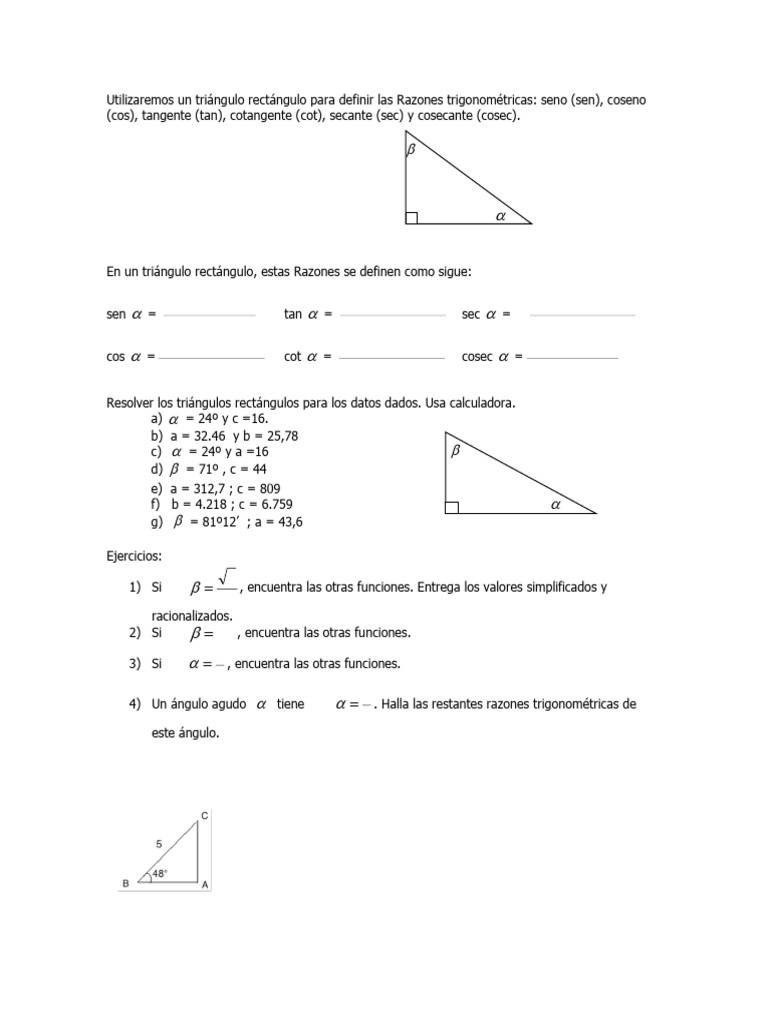 Triangulos Rectangulos | PDF | Funciones trigonométricas | Triángulo