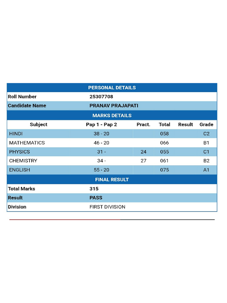 Class12 Marksheet | PDF