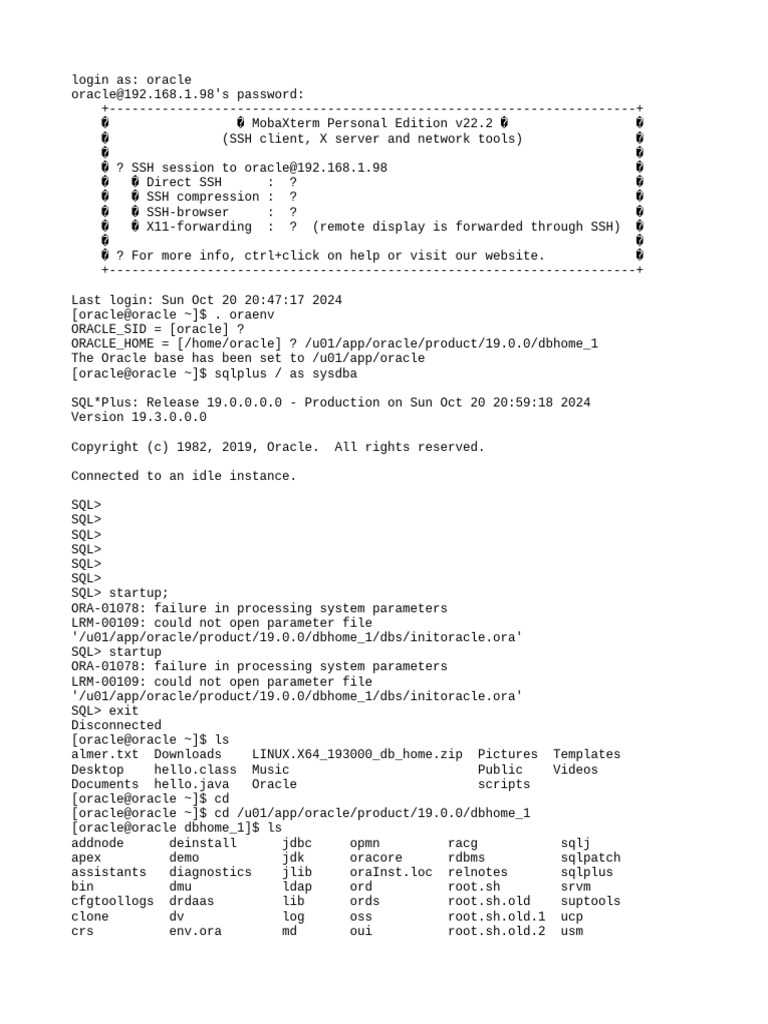 Spfile - Case Sensitive (Environment) | PDF | Secure Shell | Oracle ...