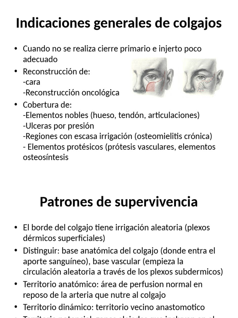 Indicaciones Generales de Colgajos | PDF | Isquemia | Enfermedades y ...