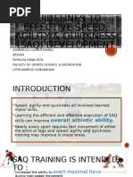 SAQ Training Examples and Drills | PDF