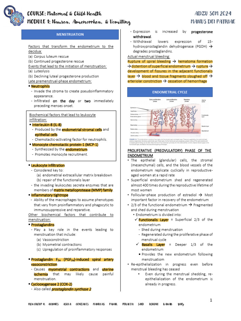Module 1 Nausea Amenorrhea Vomiting | PDF | Human Chorionic ...