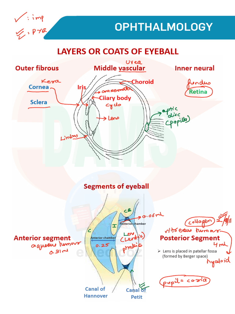 Ophthalmology LRR (Annotated) Workbook - 250519 - 001427 | PDF | Human Eye | Myopia