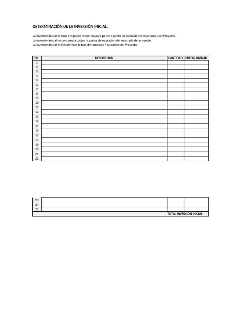 Formato Proyectos Vacío | PDF | Tasa interna de retorno | Inversiones