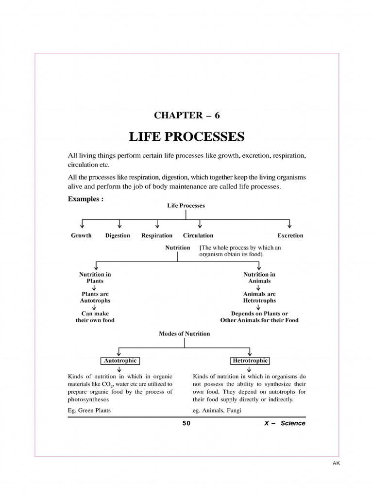 Class 10 Life Process Notes | PDF