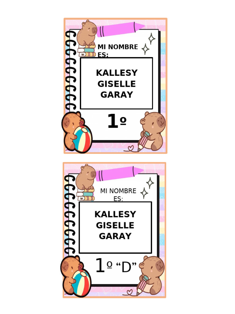 Solapines Nombre Sección D | PDF