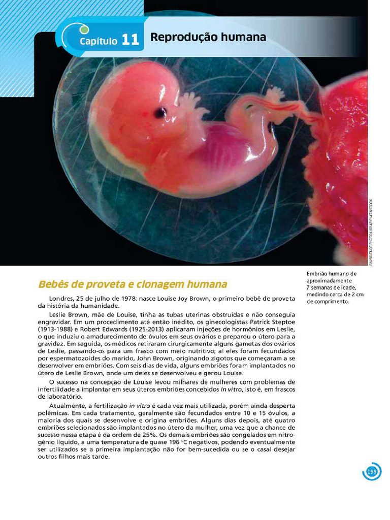 Biologia Moderna Volume 1 Amabis e Martho Cap 11 | PDF