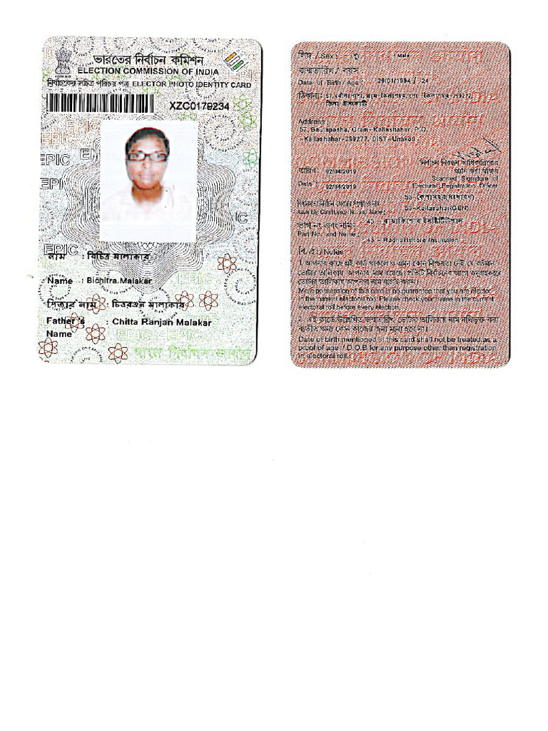 Voter ID | PDF