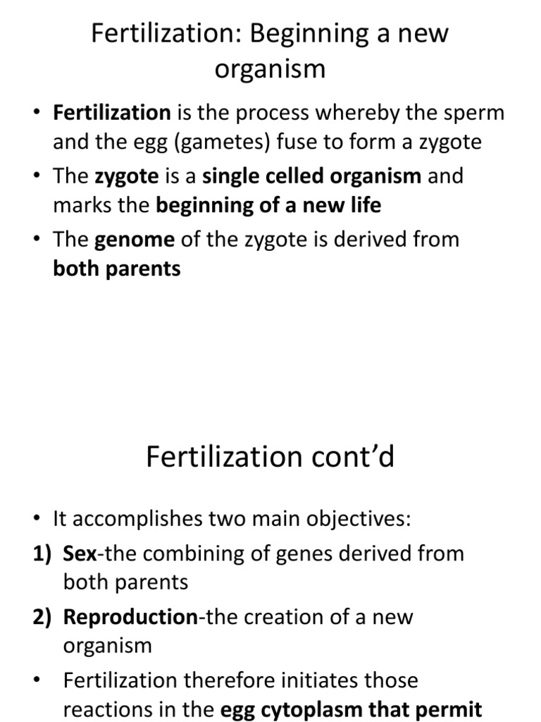 Fertilization Process Overview | PDF | Fertilisation | Sperm