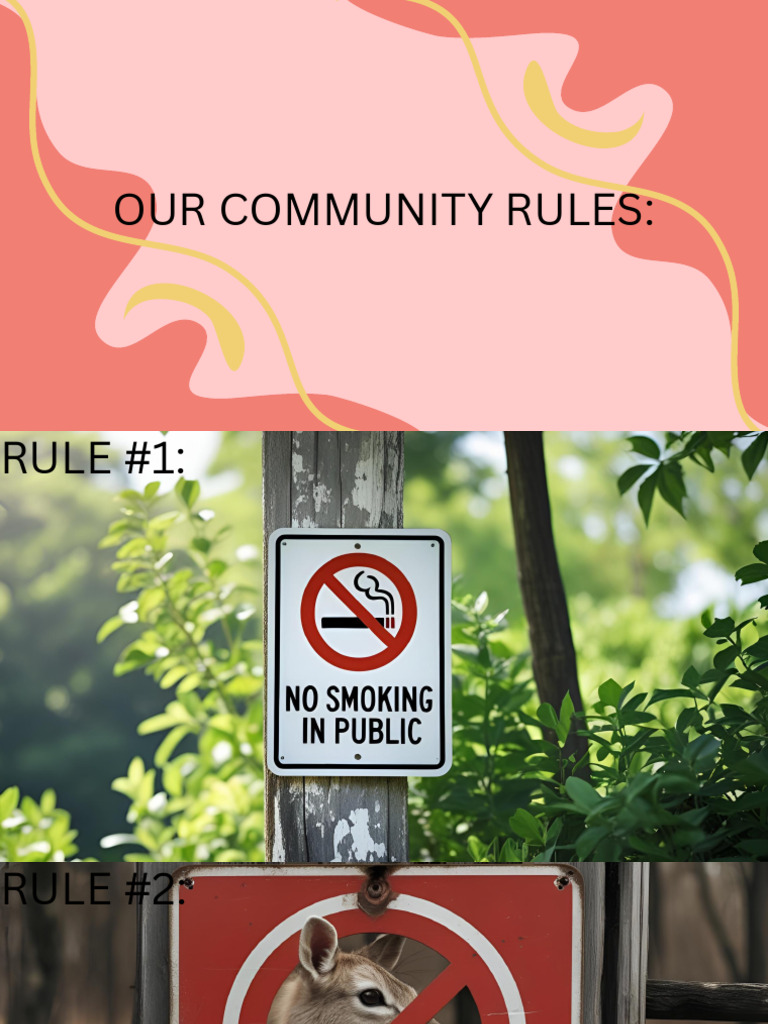 Our Community Rules - 20250605 - 174551 - 0000 | PDF