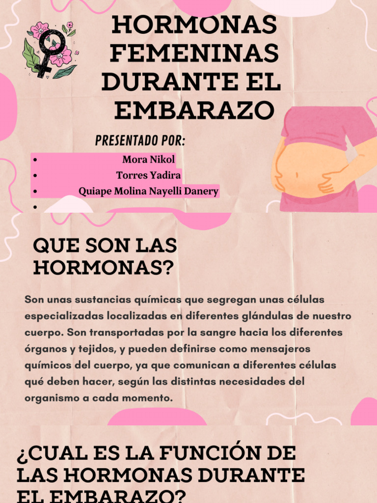Hormonas Durante El Embarazo | PDF